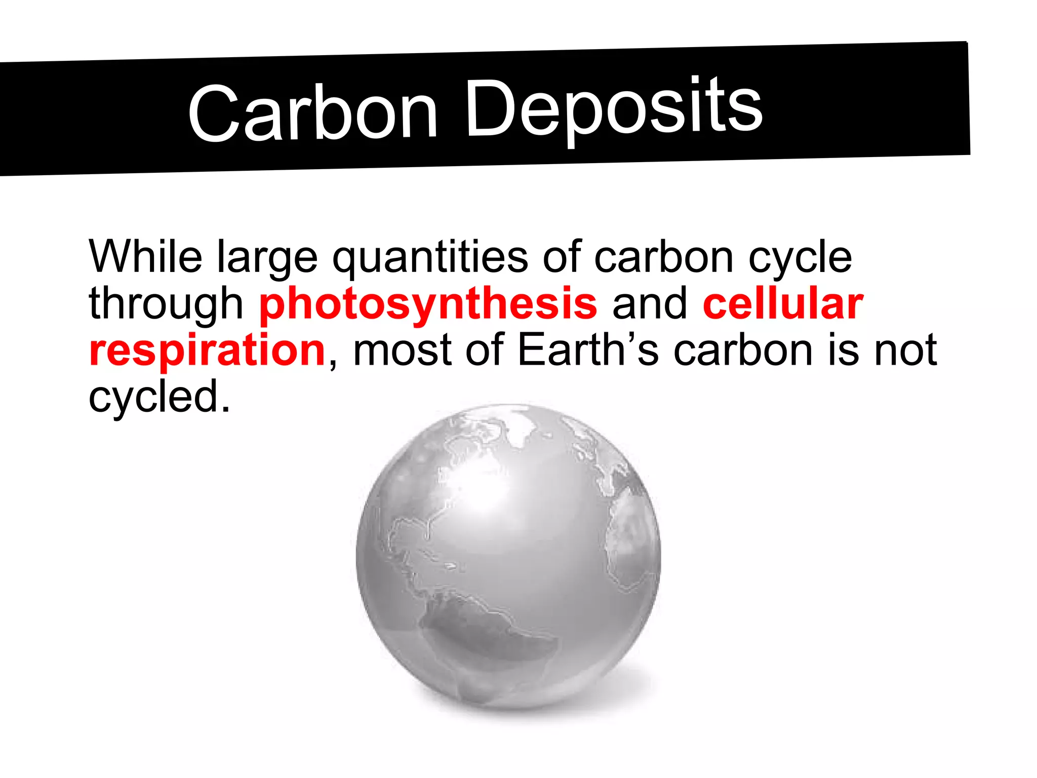 Cycling of Matter in Ecosystems | PPT
