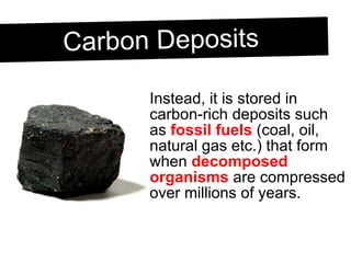 Cycling of Matter in Ecosystems | PPT