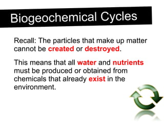 Cycling of Matter in Ecosystems | PPT