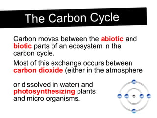 Cycling of Matter in Ecosystems | PPT