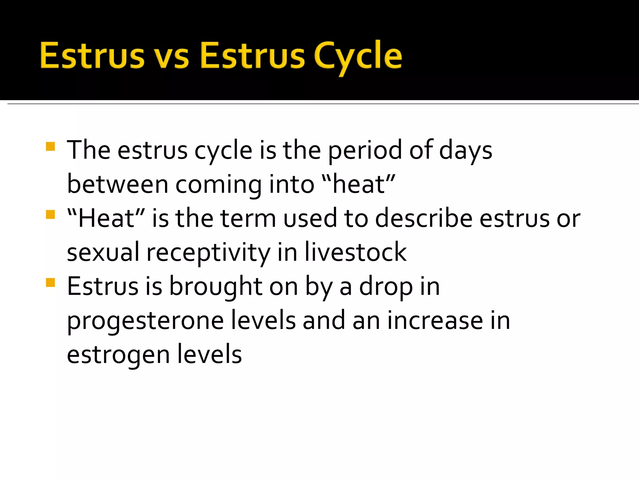 Animal Reproductive Cycles | PPT