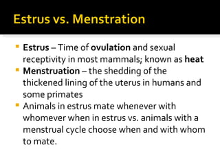 Animal Reproductive Cycles | PPT