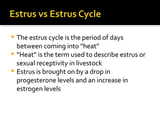 Animal Reproductive Cycles | PPT