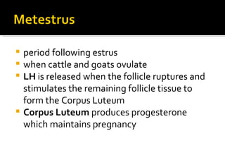 Animal Reproductive Cycles | PPT
