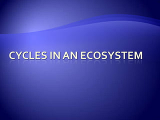 Cycles in an ecosystem | PPTX