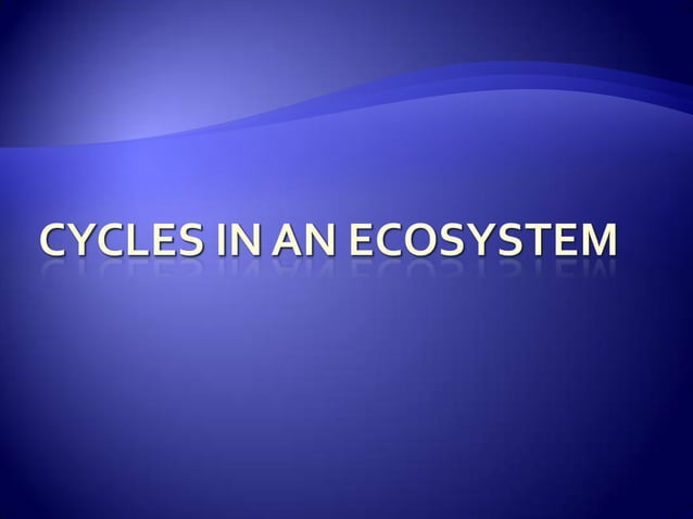Cycles in an ecosystem | PPTX | Geography | Science