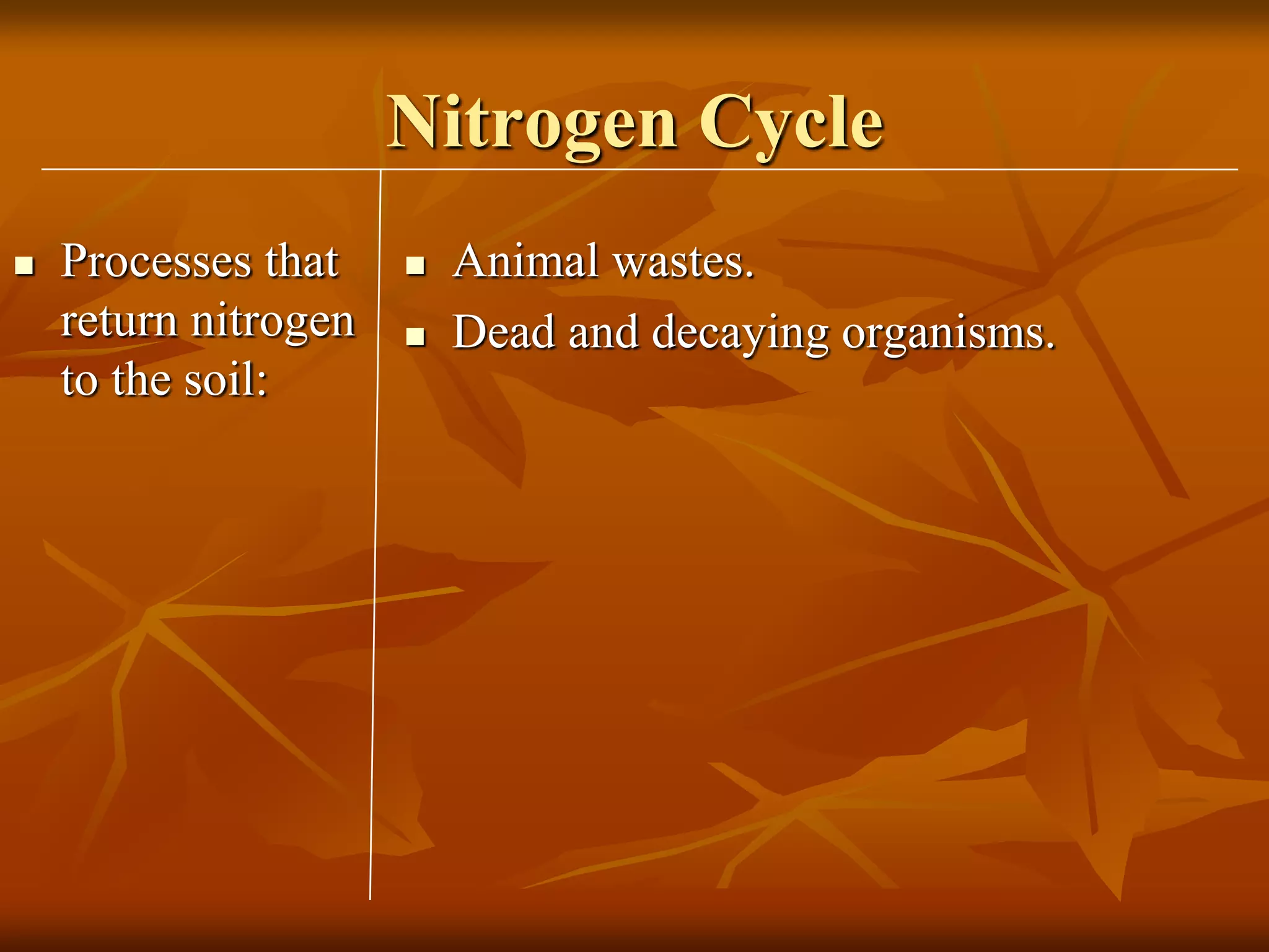 Cycles in nature.ppt