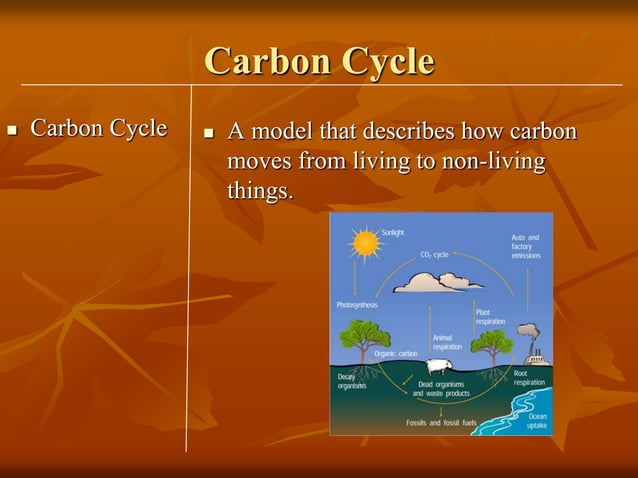 Cycles in nature.ppt | Gardening | Home & Garden