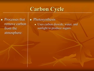 Cycles in nature.ppt