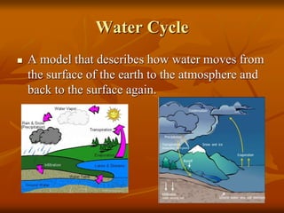 Cycles in nature.ppt