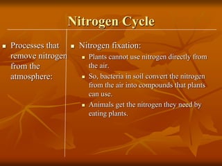 Cycles in nature.ppt