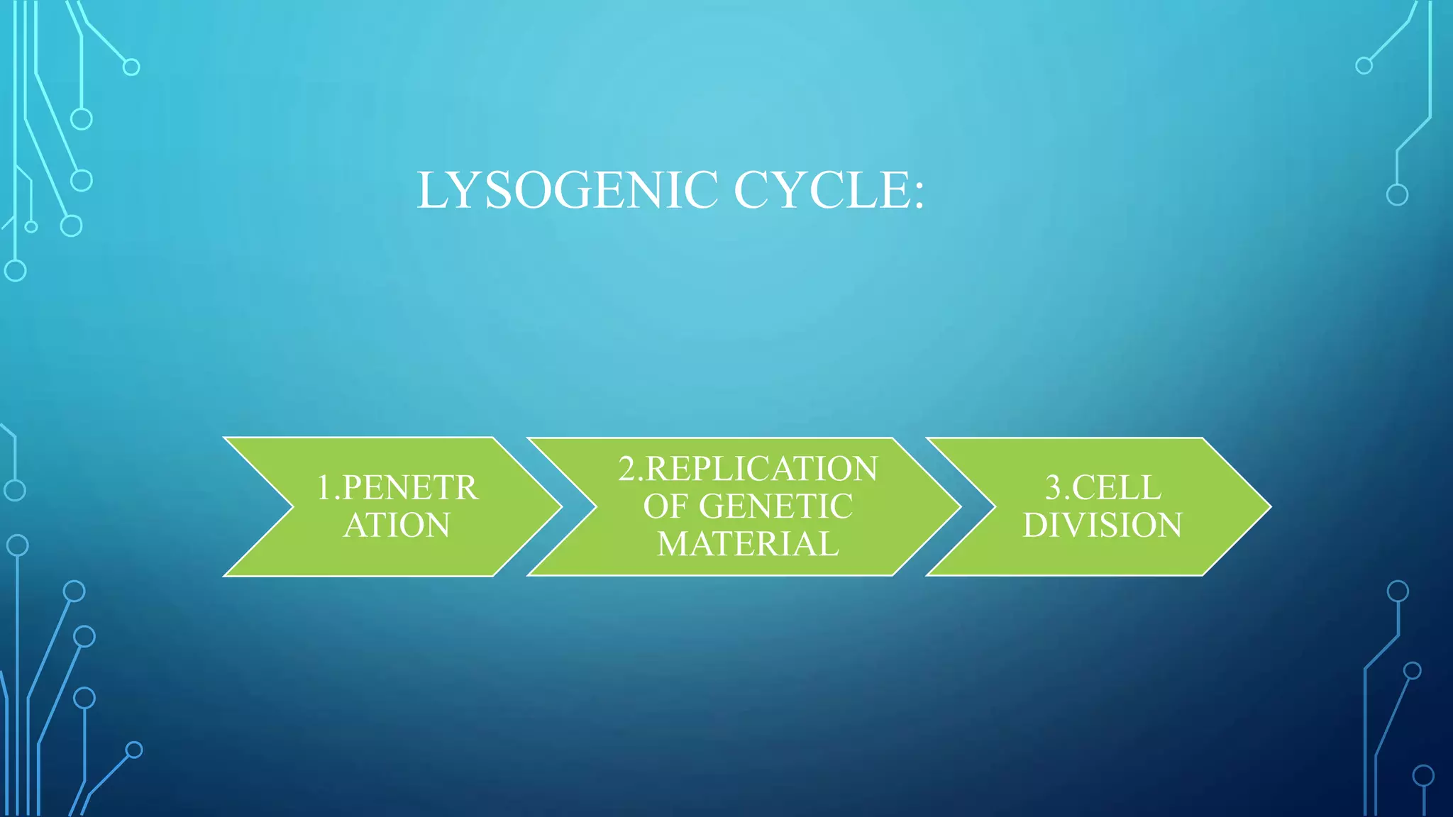 Lytic & Lysogenic Cycle | PPTX