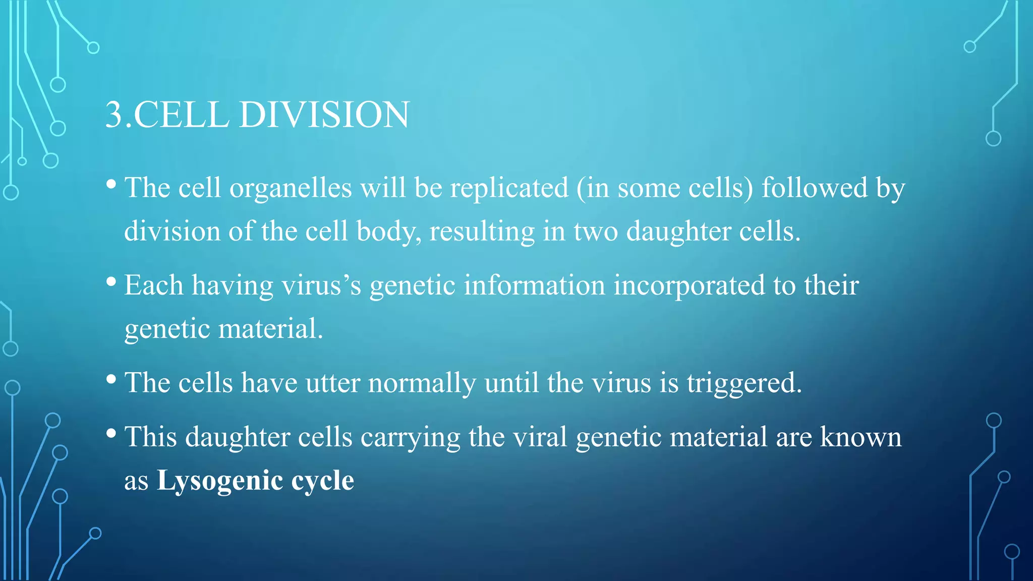 Lytic & Lysogenic Cycle | PPTX