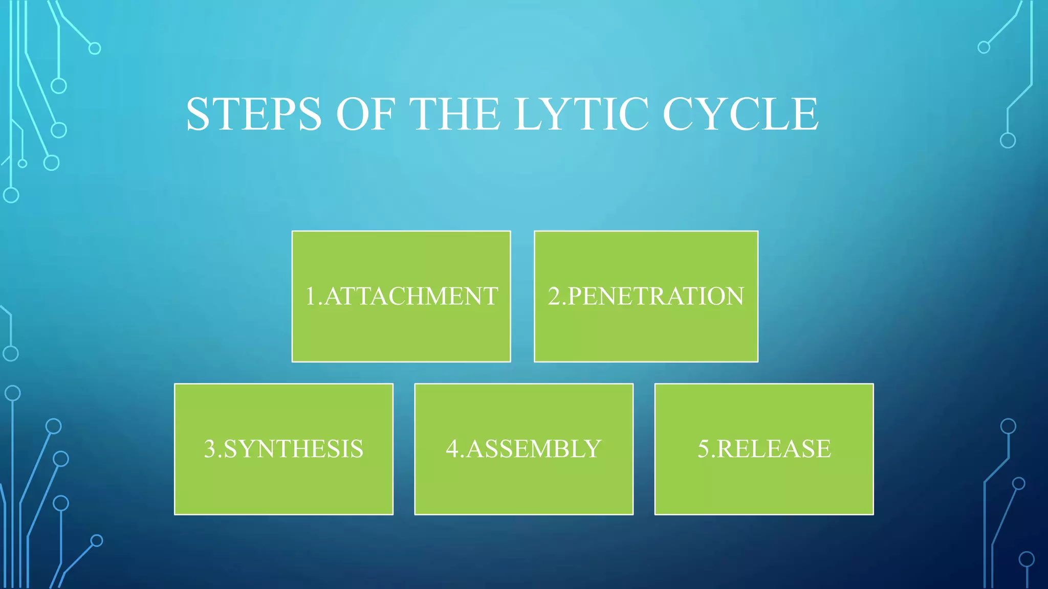 Lytic & Lysogenic Cycle | PPTX