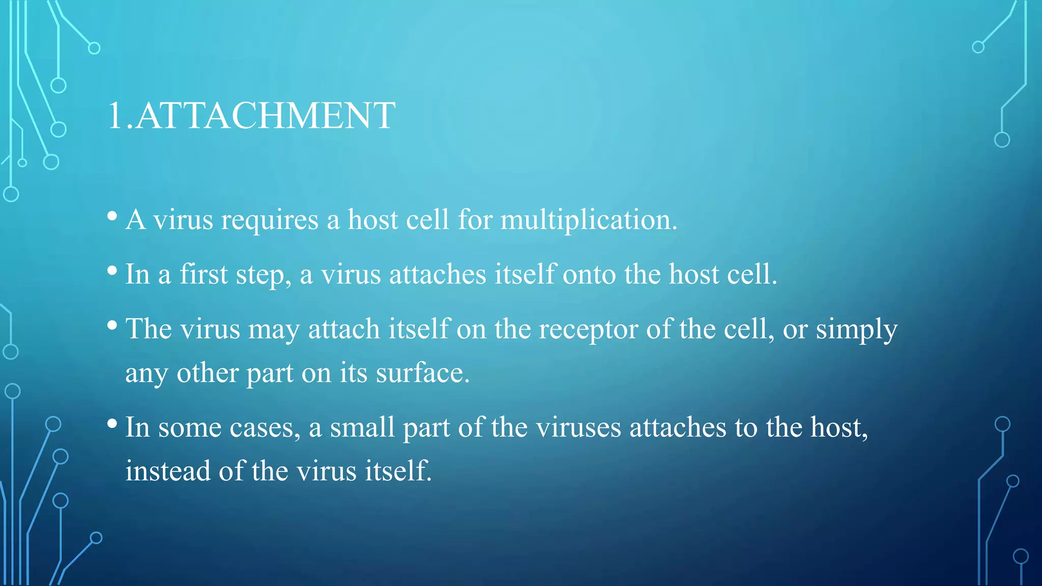Lytic & Lysogenic Cycle | PPTX