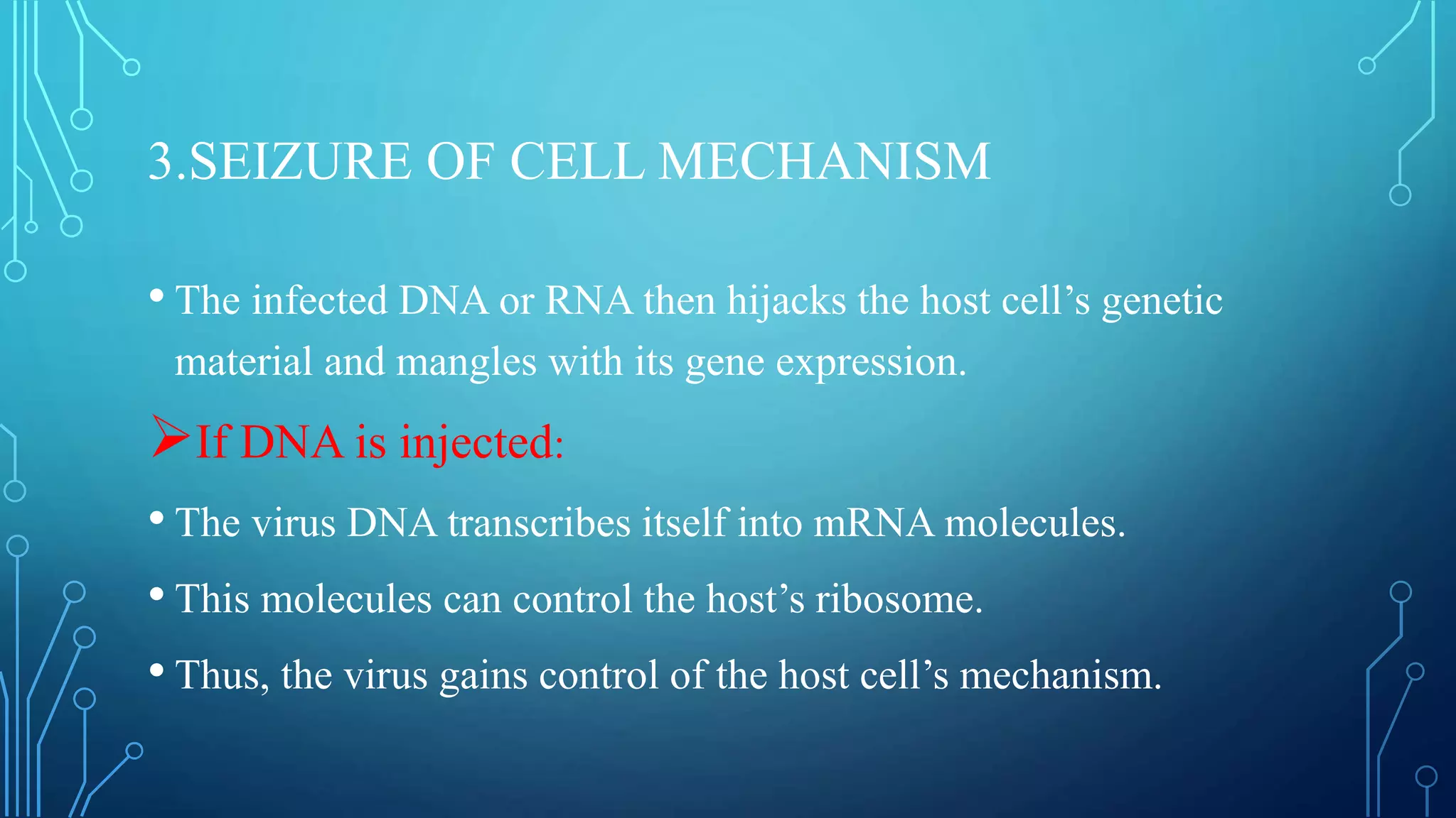 Lytic & Lysogenic Cycle | PPTX