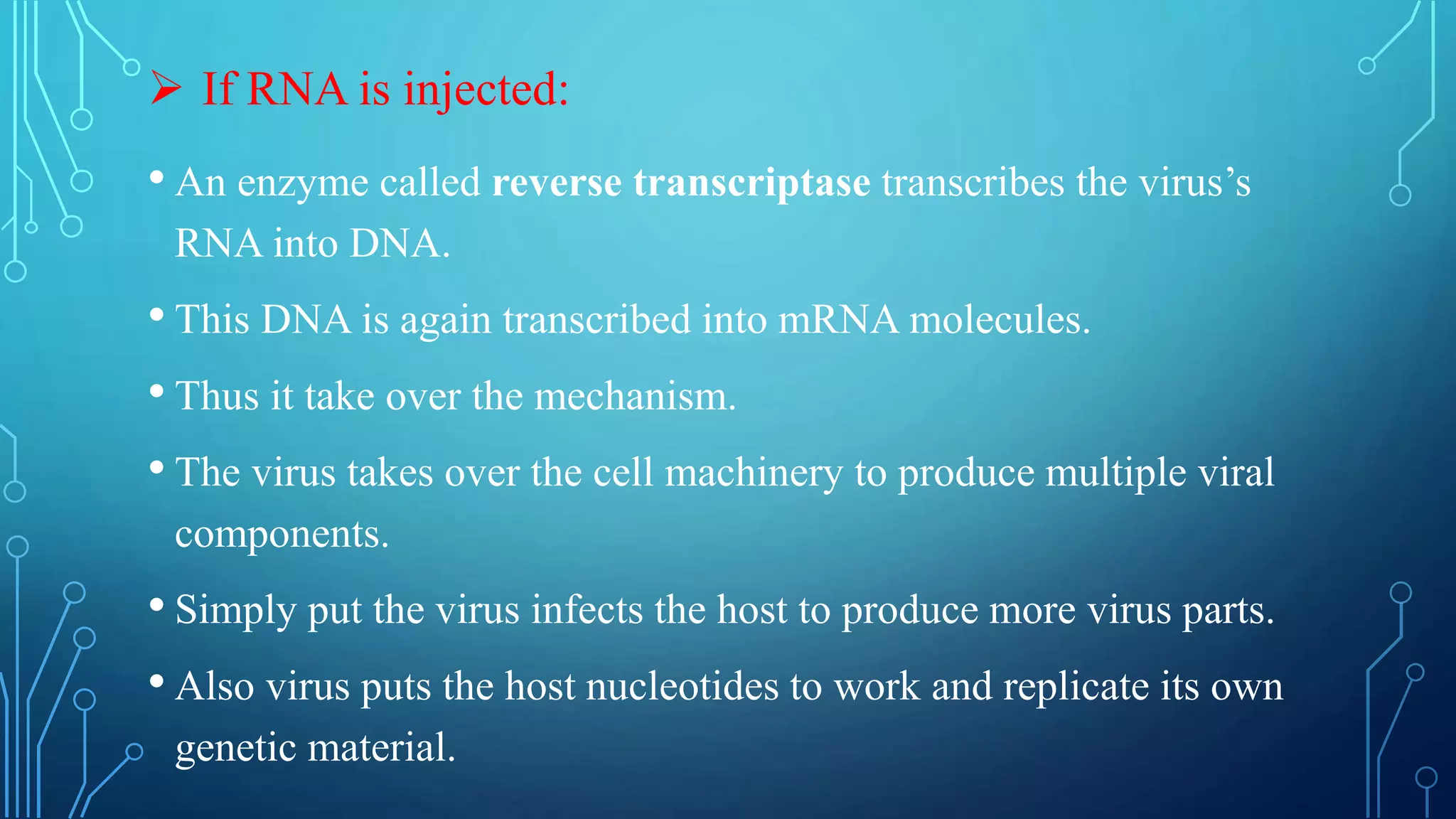 Lytic & Lysogenic Cycle | PPTX