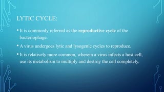 Lytic & Lysogenic Cycle | PPTX