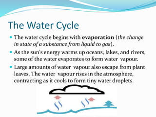 Cycles of matter.pptx