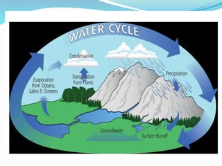 Cycles of matter.pptx