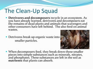 Cycles of matter.pptx