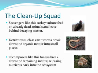 Cycles of matter.pptx