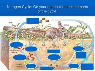 Cycles of nature.ppt elevate science grade 6 | PPT