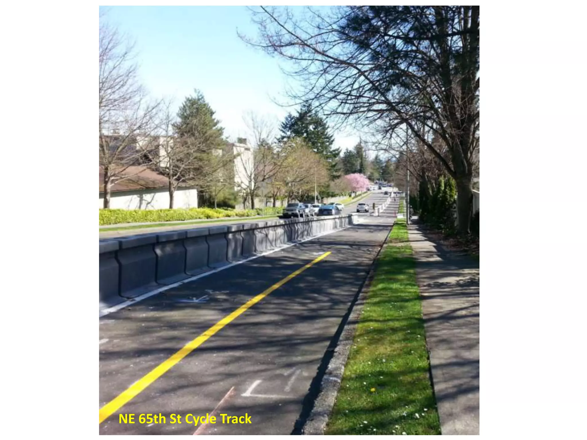 Seattle's Protected Bike Lanes | PPTX