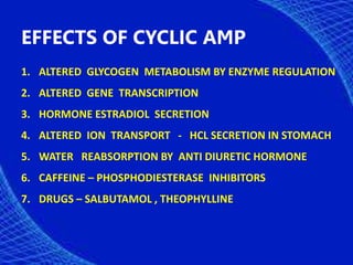 Cyclic amp | PPTX