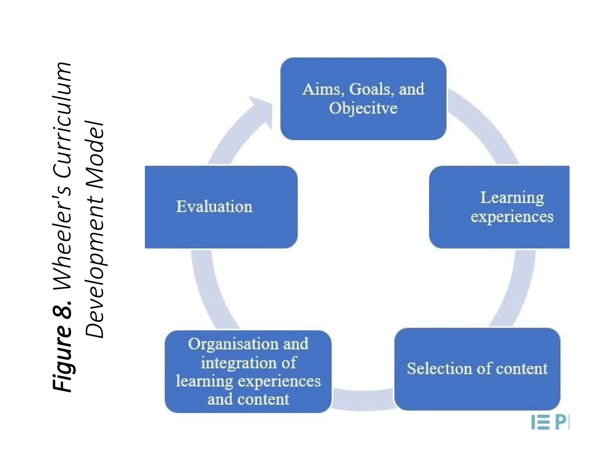 Cyclical Models of Curriculum Development.pptx