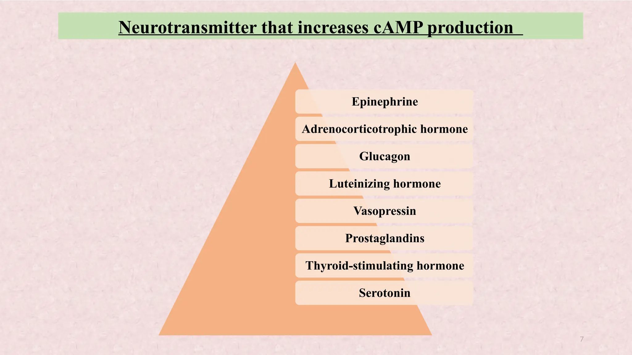 Cyclic AMP (cAMP) Signaling Pathway.pptx