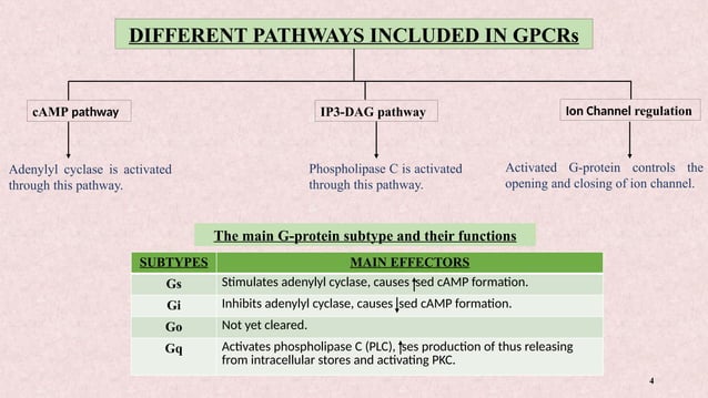 Cyclic AMP (cAMP) Signaling Pathway.pptx