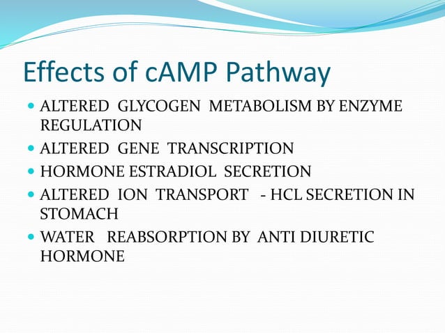Cyclic amp pathway | PPT