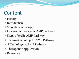 Cyclic amp pathway | PPT
