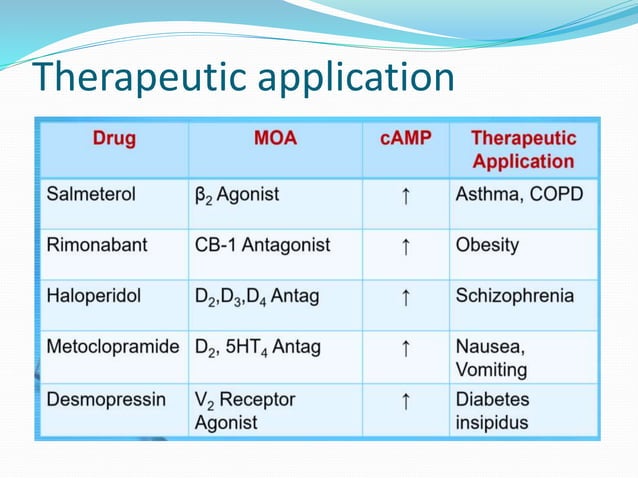 Cyclic amp pathway | PPT