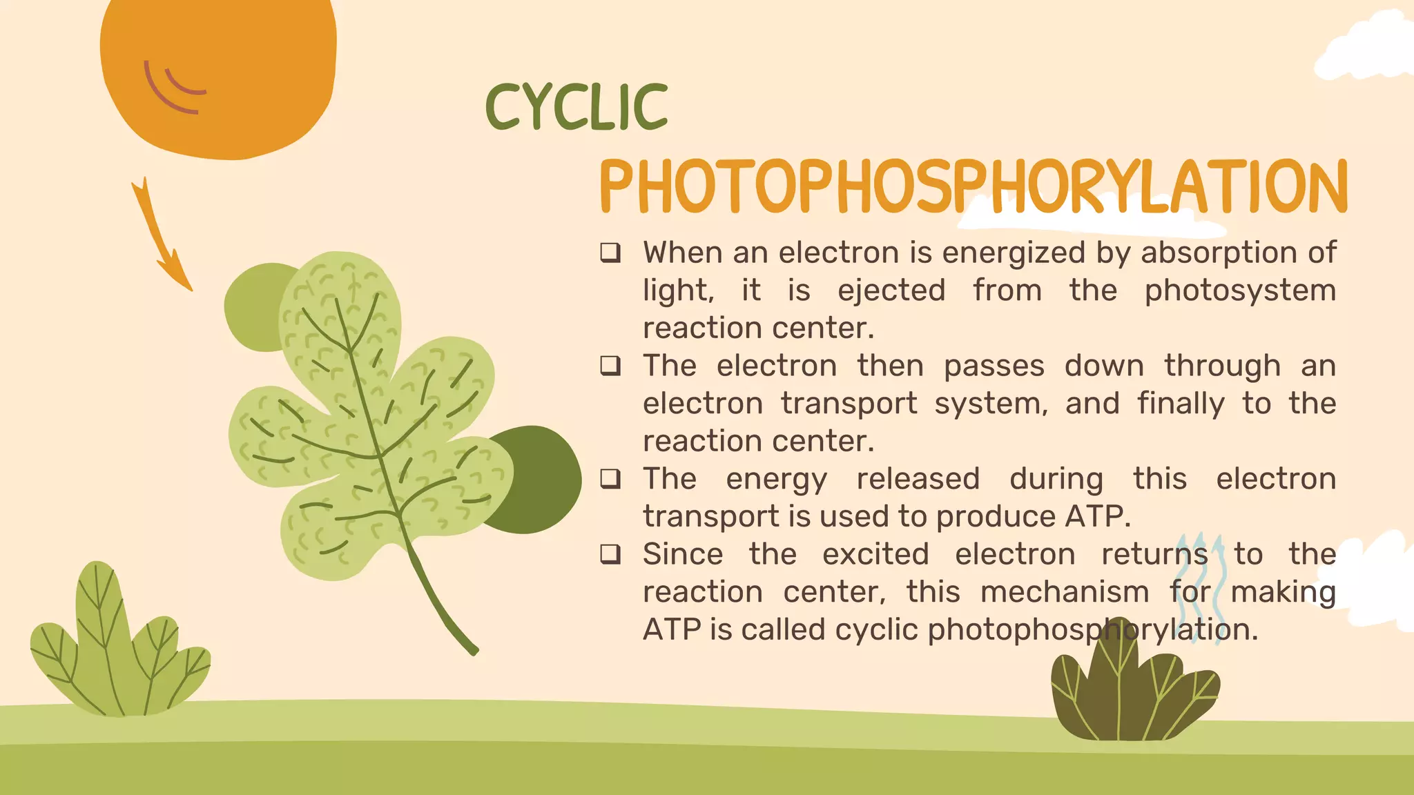Cyclic and non cyclic photophosphorilation | PPTX