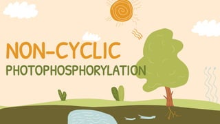 Cyclic and non cyclic photophosphorilation | PPTX