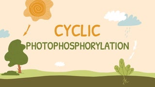 Cyclic and non cyclic photophosphorilation | PPTX