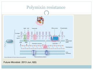 Cyclic lipopeptides, folate antagonists, licosamide, polymixins | PPT
