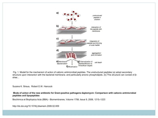 Cyclic lipopeptides, folate antagonists, licosamide, polymixins | PPT
