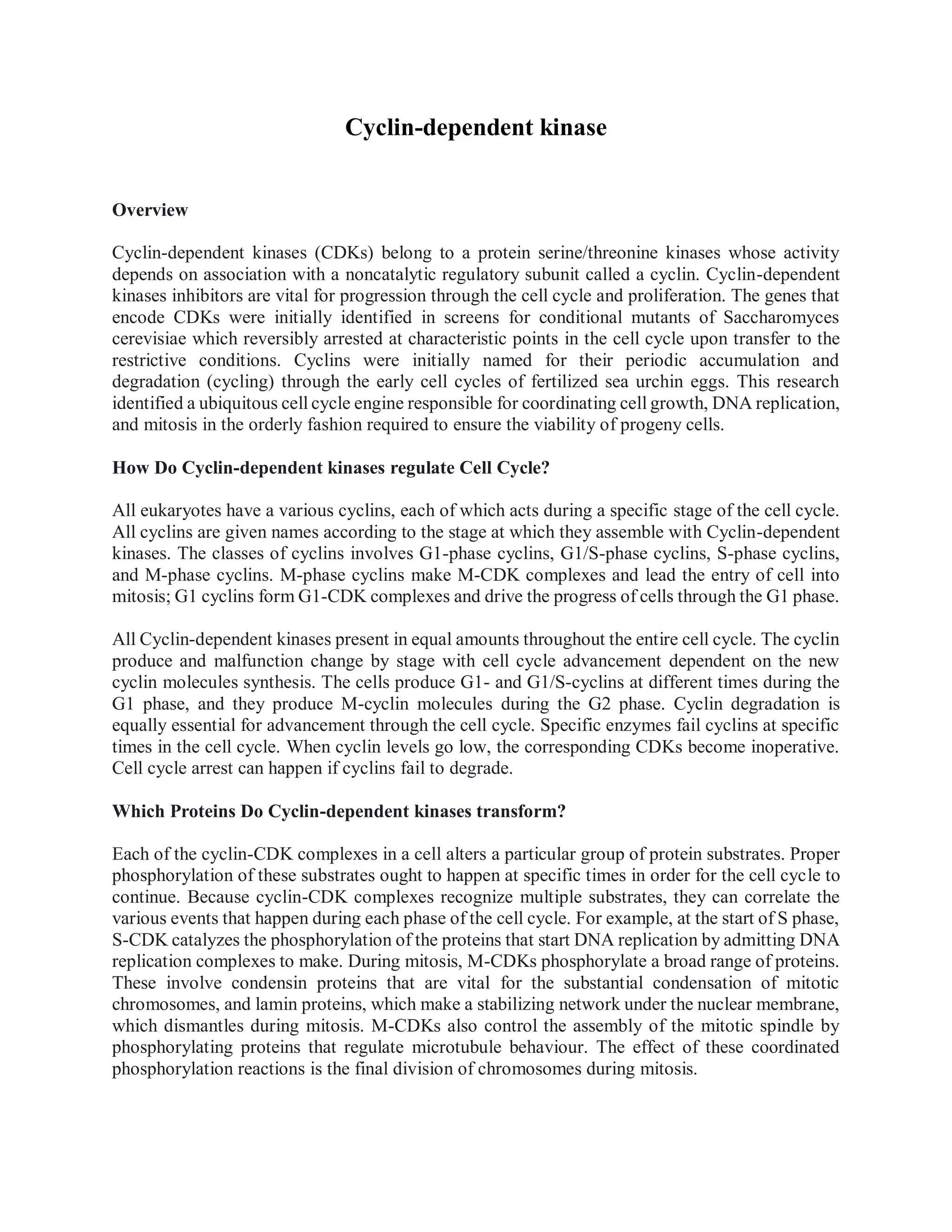 Cyclin-Dependent Kinase | PDF