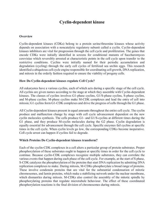 Cyclin-Dependent Kinase | PDF