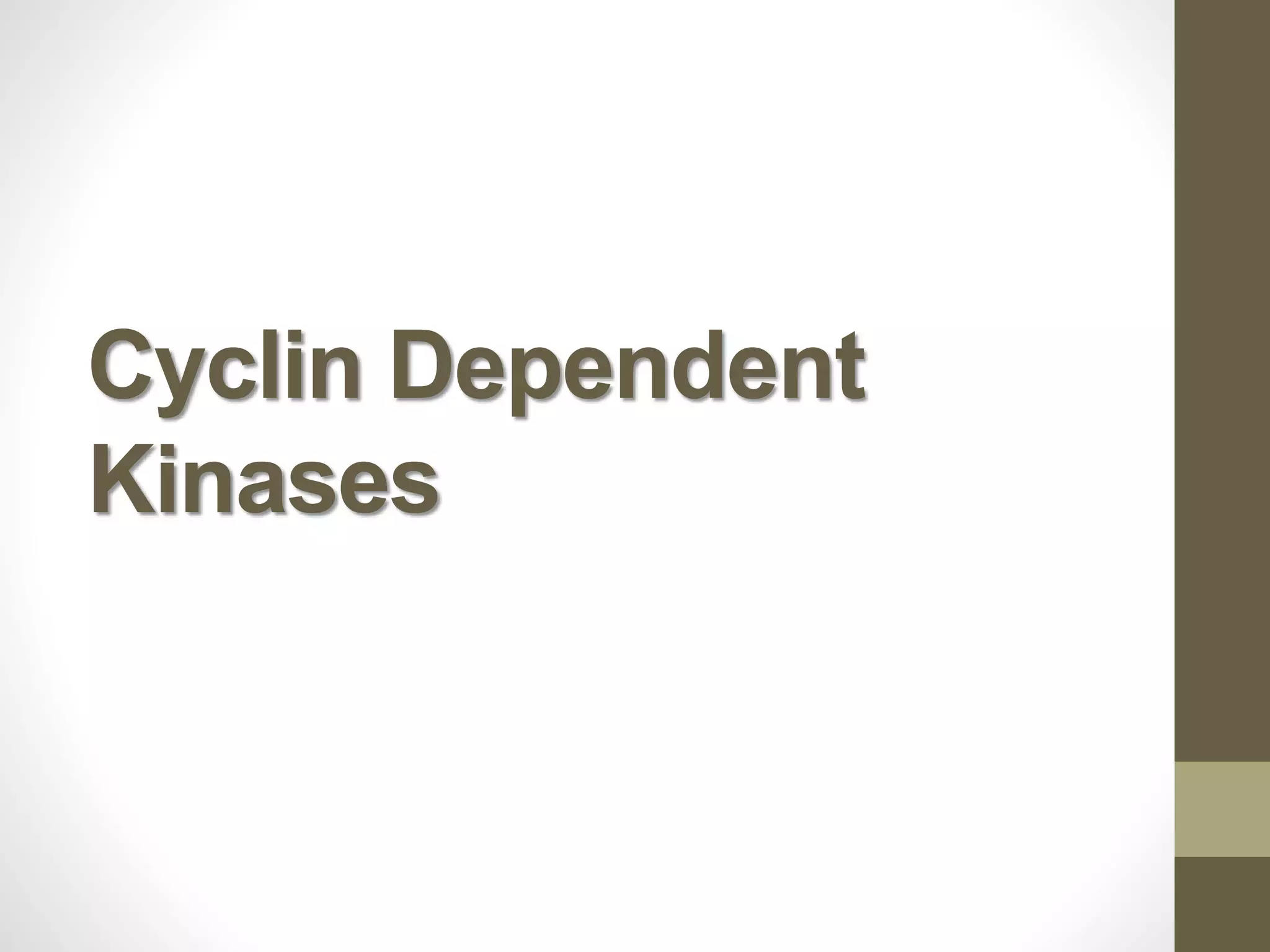 Cyclin dependent kinases | PPTX