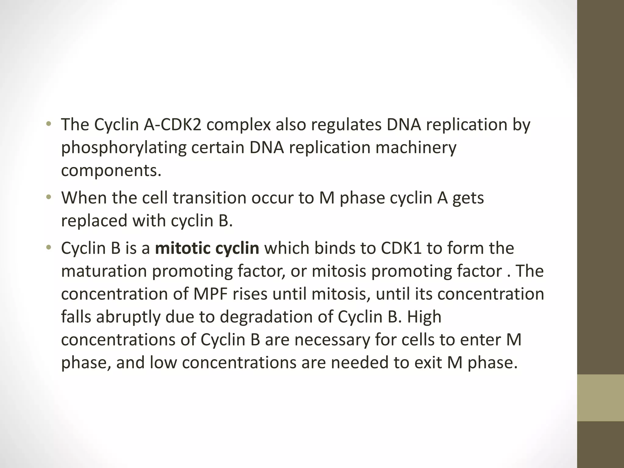 Cyclin dependent kinases | PPTX