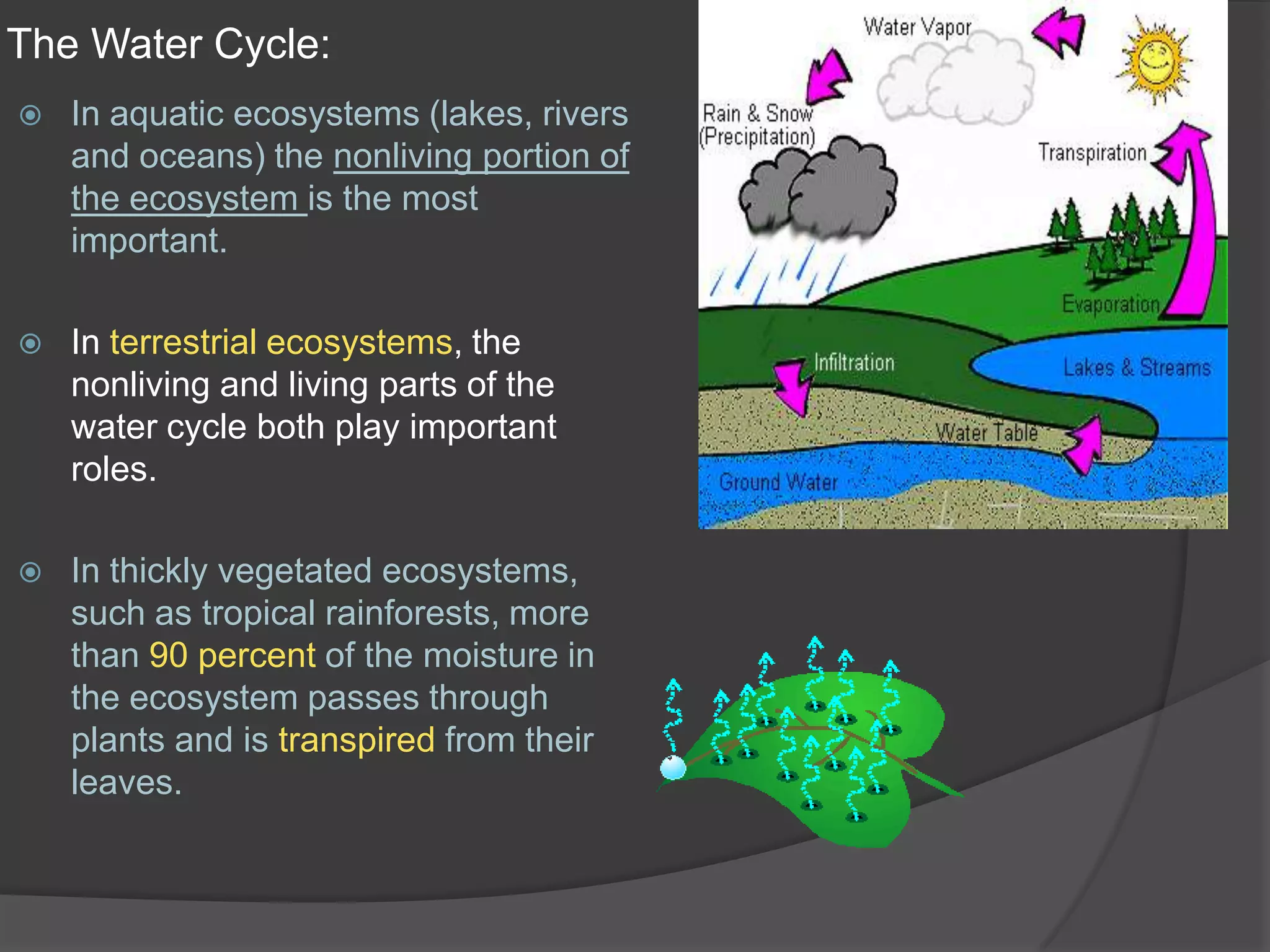 Cycling of materials in ecosystem | PPTX