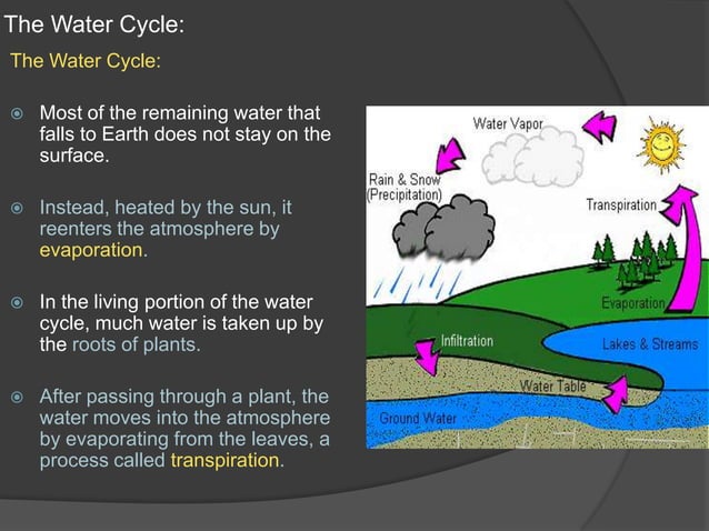 Cycling of materials in ecosystem | PPTX
