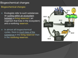 Cycling of materials in ecosystem | PPTX
