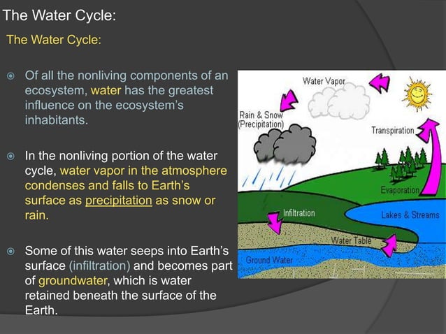 Cycling of materials in ecosystem | PPTX