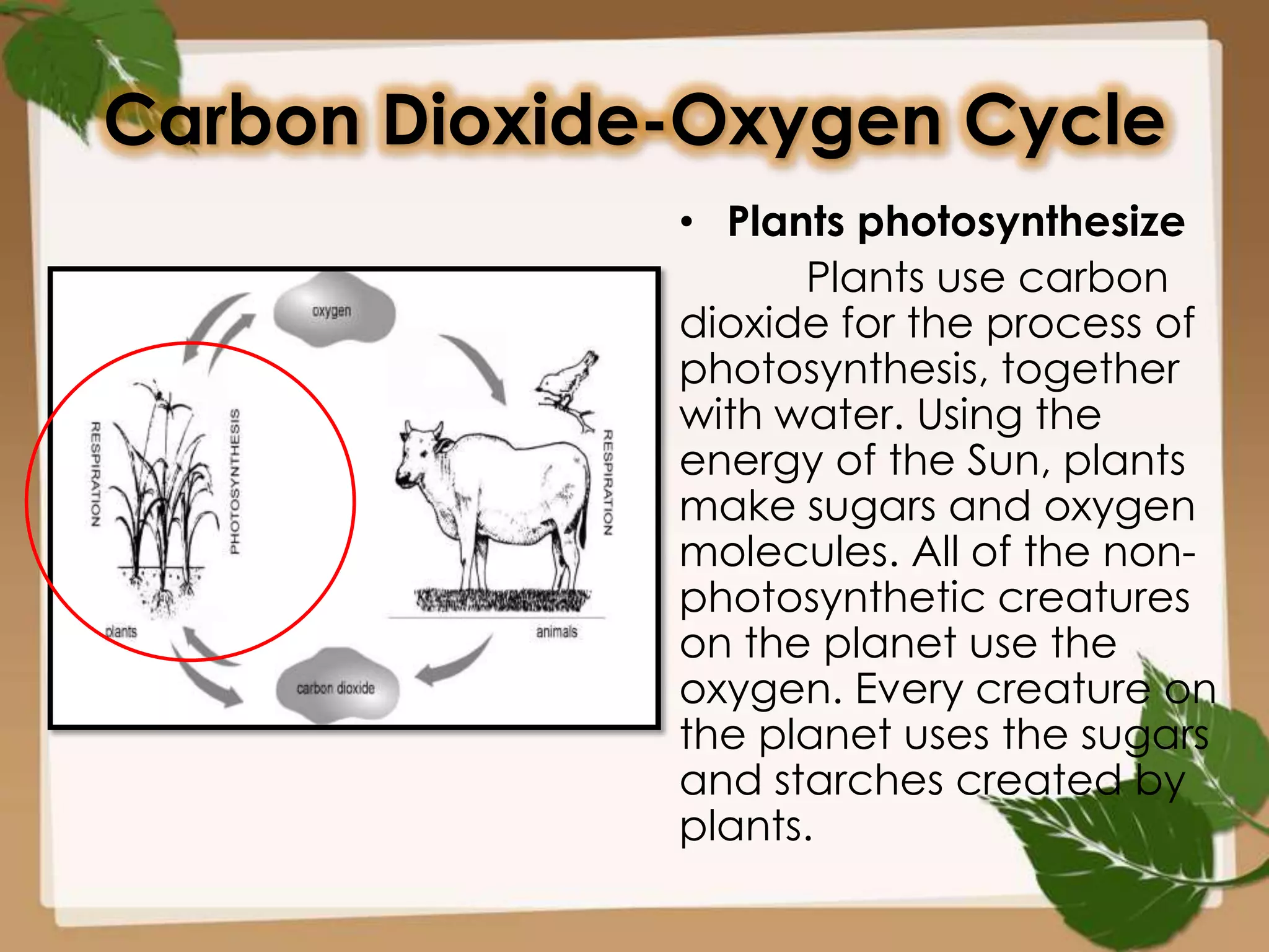 Cycling of materials in the ecosystem | PPTX