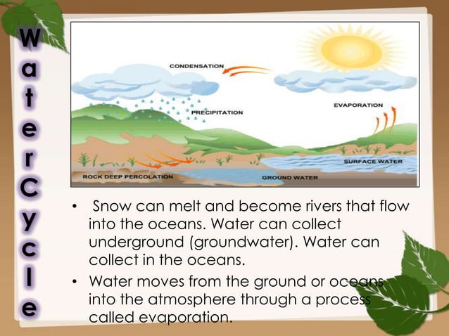 Cycling of materials in the ecosystem | PPTX